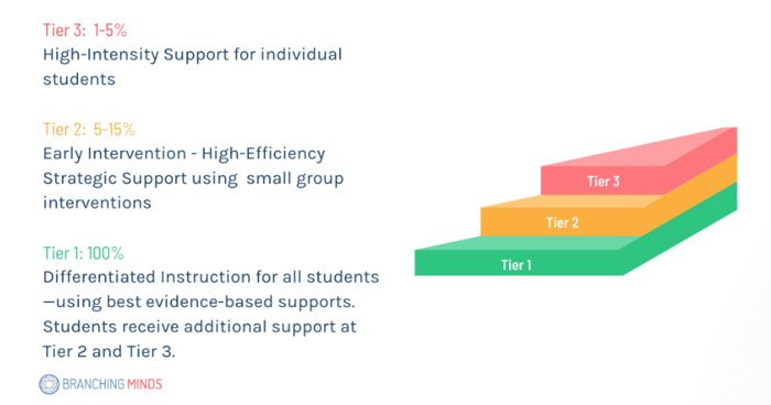 How Tiering in MTSS Supports Equitable & Sustainable Outcomes for School Communities